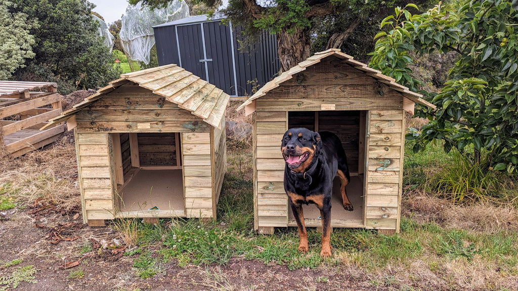 The Grand - Huge Dog Kennel – Stoneman Constructions