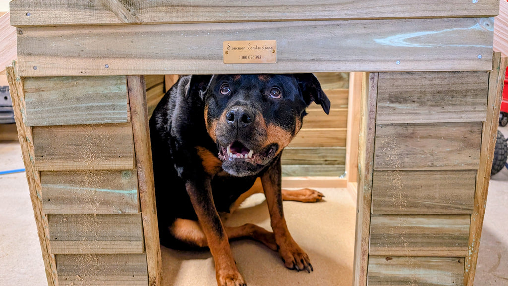 Kennels for a Rottweiler! 💜 – Stoneman Constructions