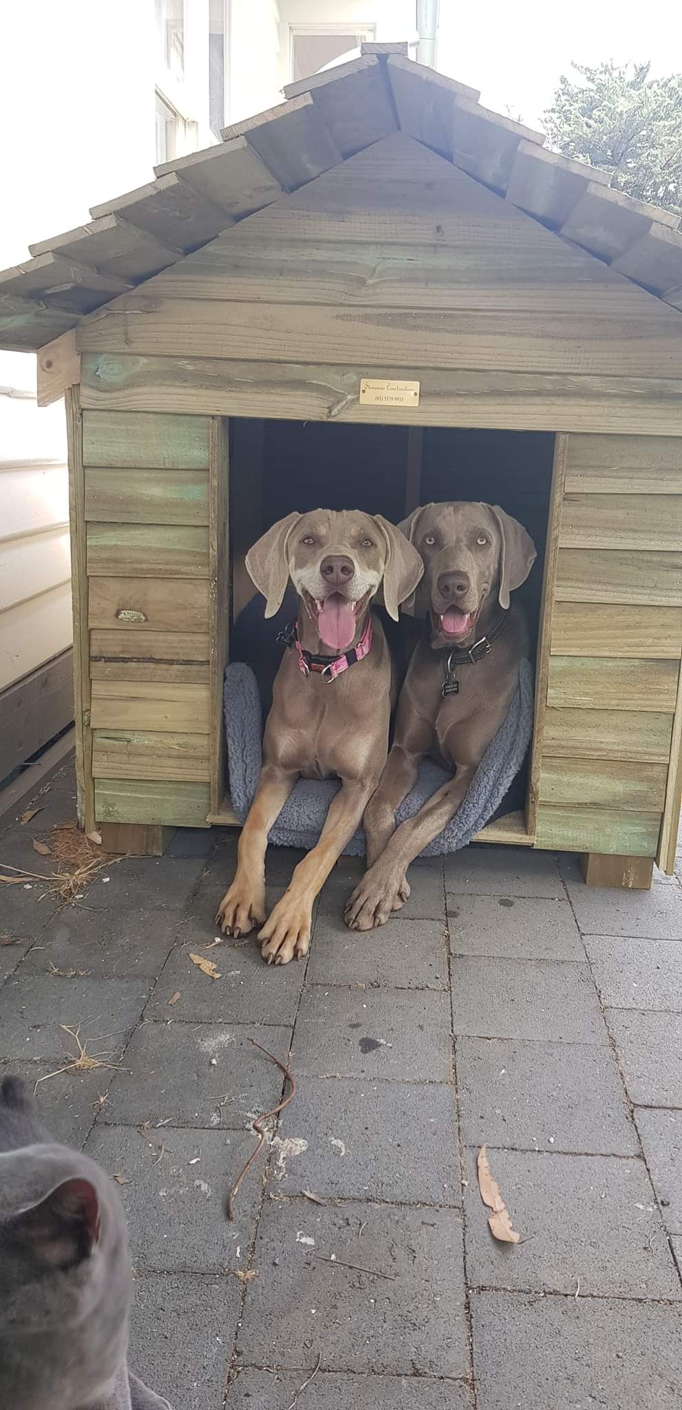 Stoneman Constructions Eco Wood Dog Kennels
